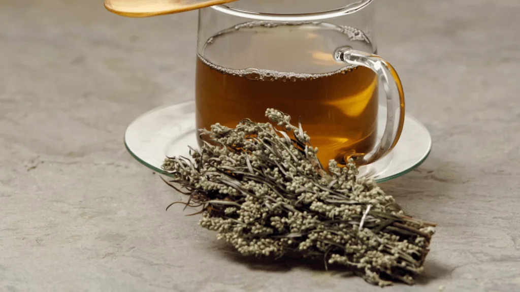 Medicinal Properties of Mugwort: A Herb with Surprising Benefits